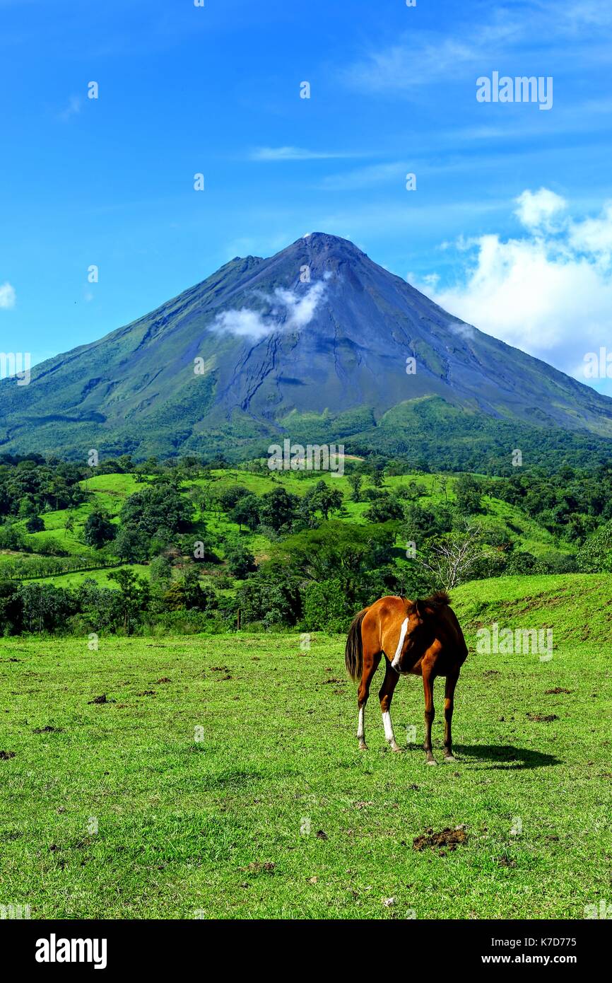 Arenal active volcano national park Costa Rica Stock Photo - Alamy