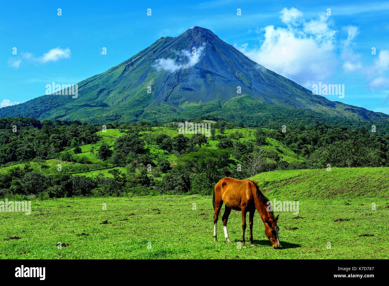 Volcano arenal national park hi-res stock photography and images - Alamy