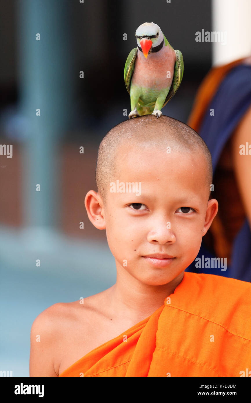 Monk head hi-res stock photography and images - Alamy