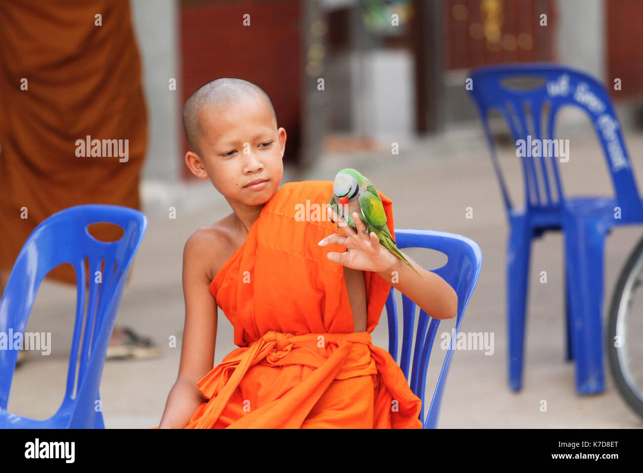 Monks pet hi-res stock photography and images - Alamy