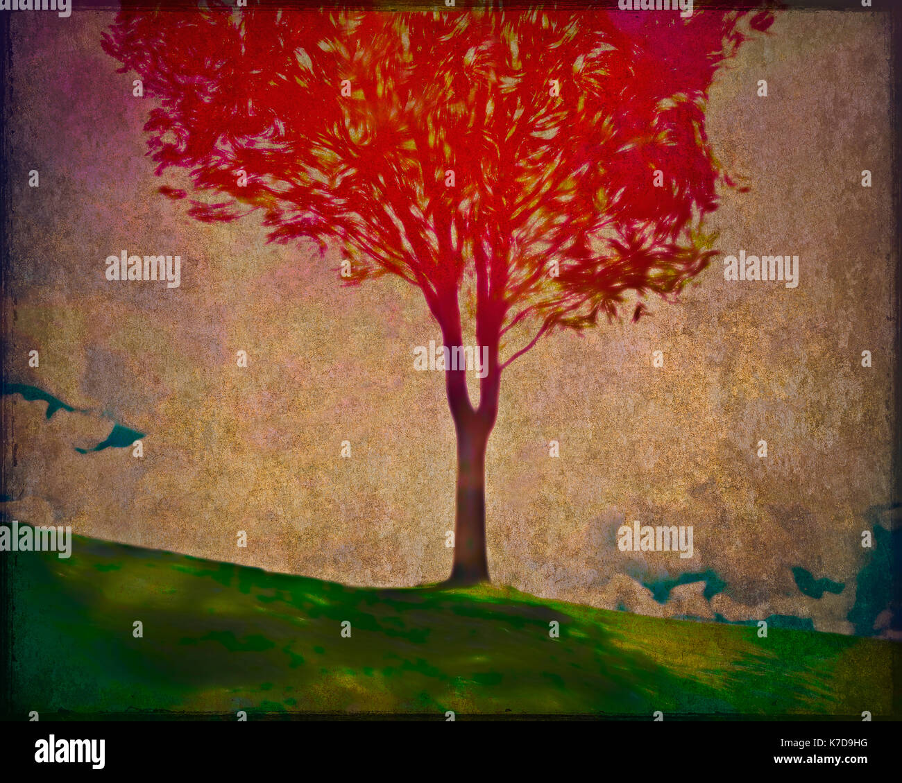 Tree fine art hi-res stock photography and images - Alamy