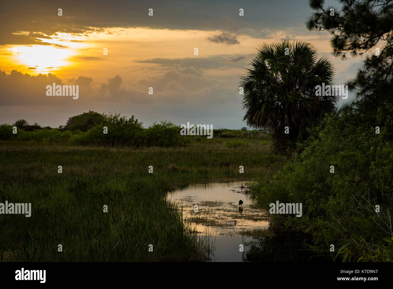Everglades Sunset National Park lake reflections Stock Photo - Alamy