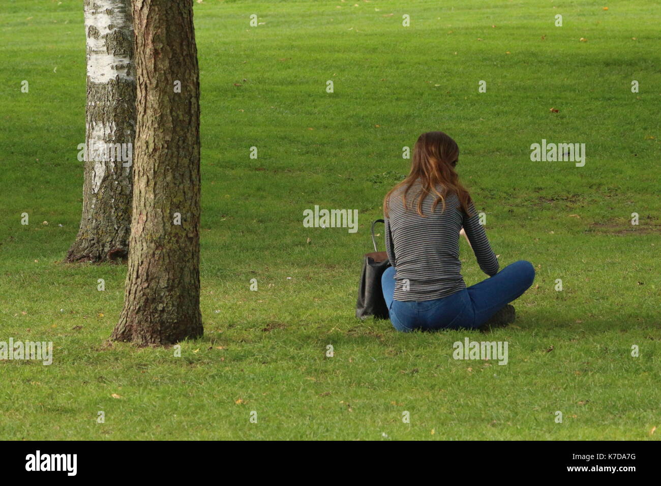 Scholar contemplating hi-res stock photography and images - Alamy