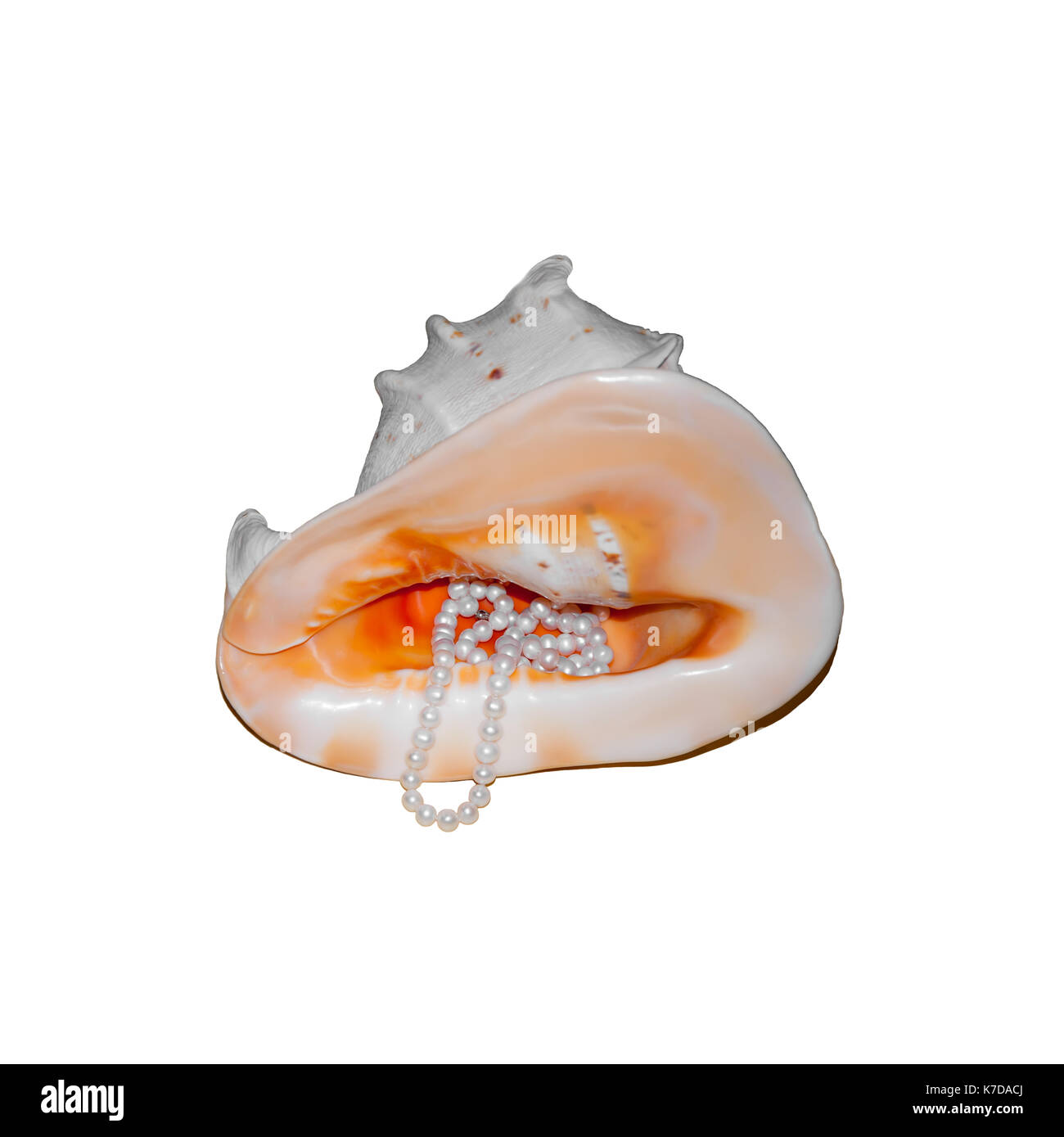 Clam shell beads High Resolution Stock Photography and Images - Alamy