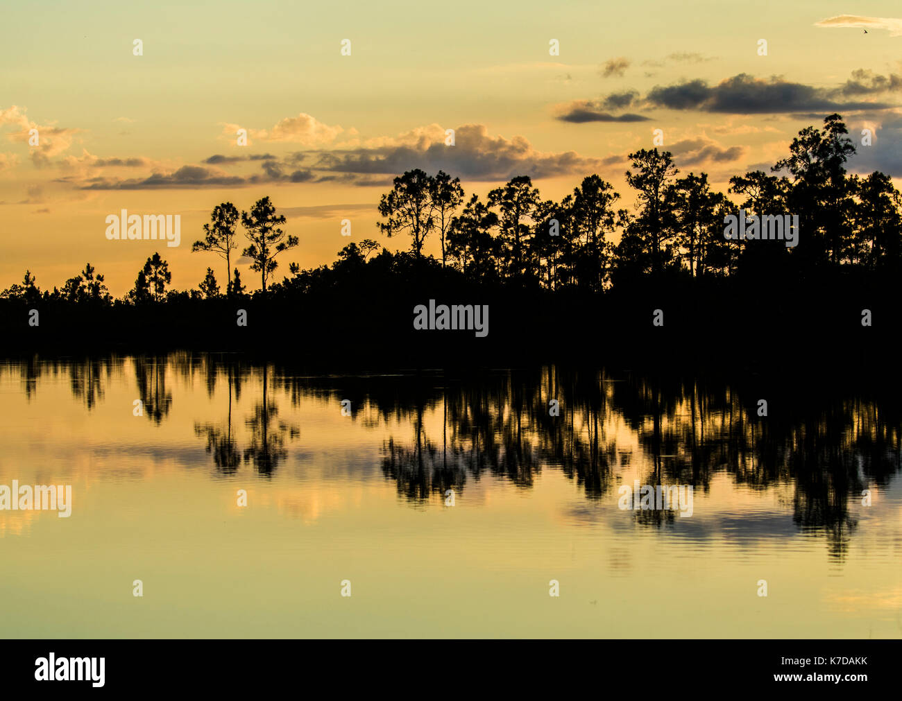Everglades Sunset National Park lake reflections Stock Photo - Alamy