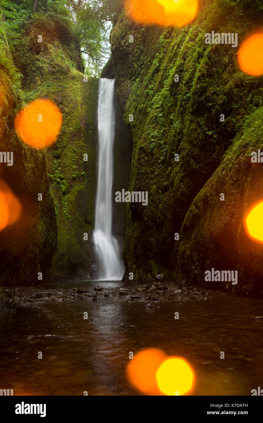 Oneonta Gorge Falls High Resolution Stock Photography and Images - Alamy
