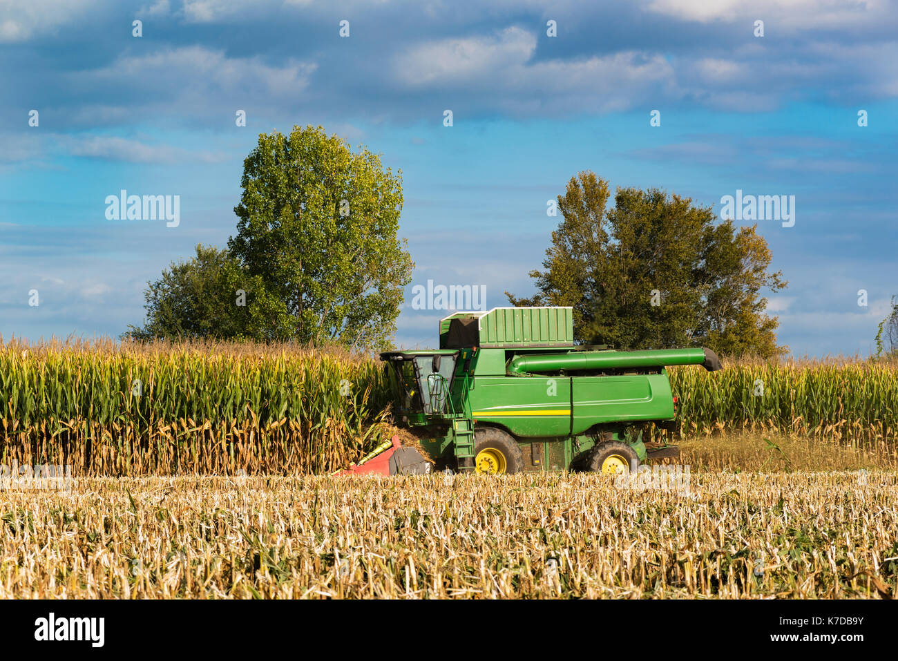 Grain maize threshing hi-res stock photography and images - Alamy