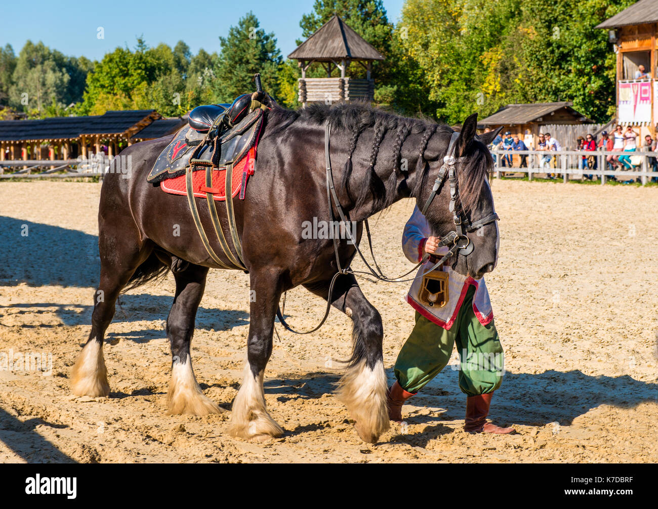Chestnut horse before racing. The chestnut horse is before racing on ...