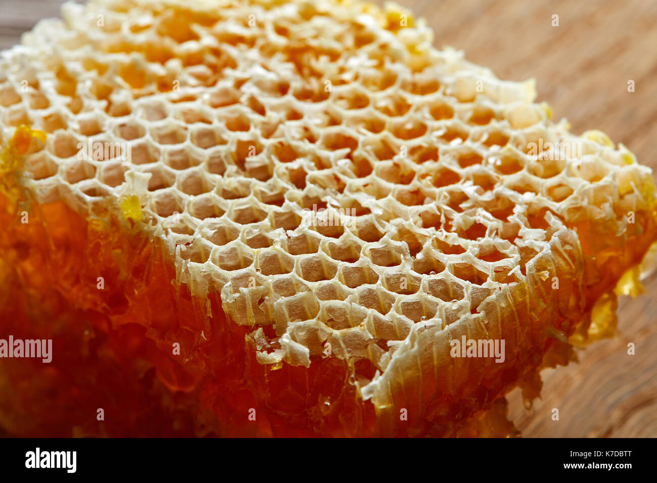 Honeycomb detail hi-res stock photography and images - Alamy