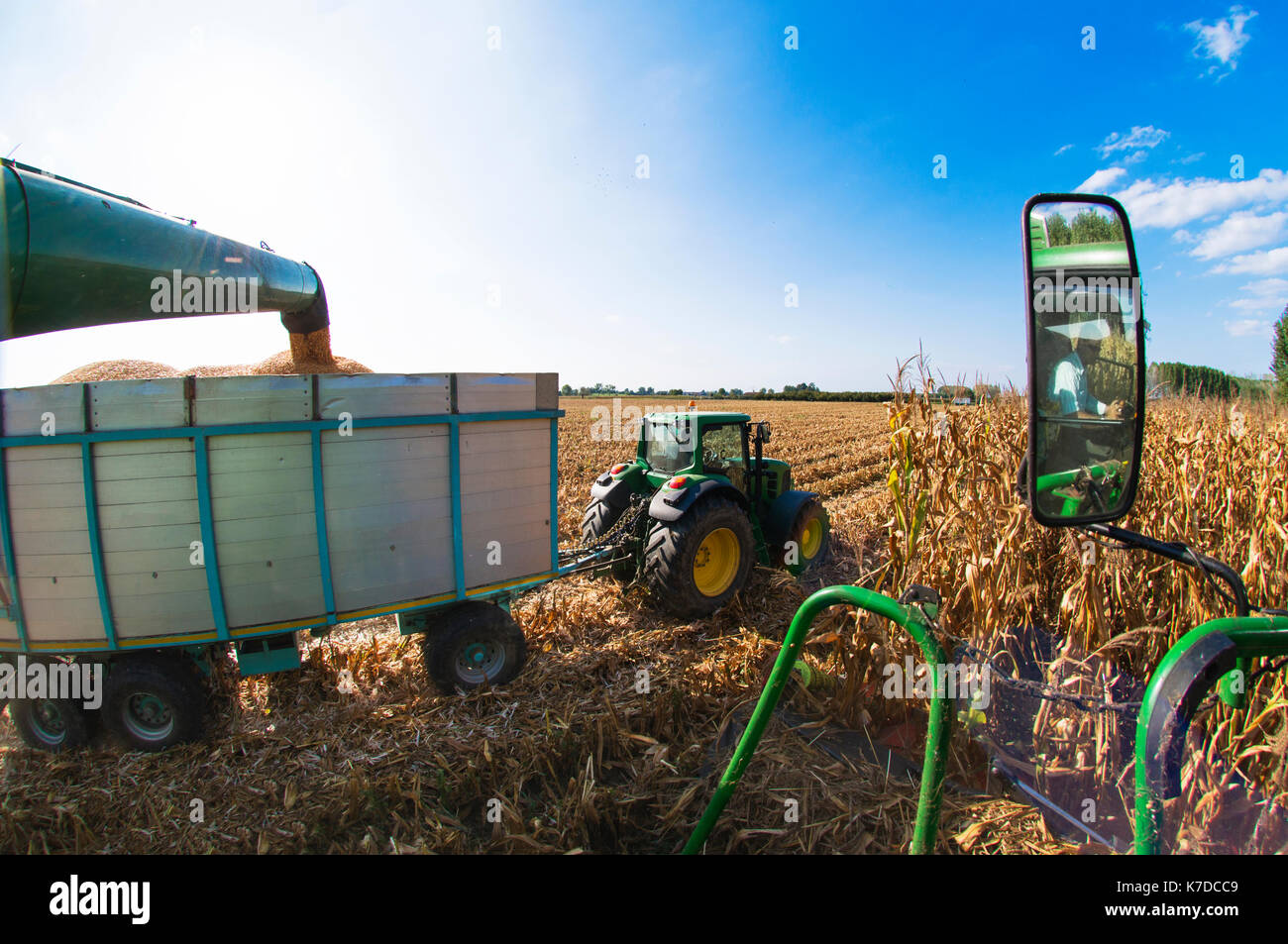 View from inside a combine harvester, the driver is reflected from the ...