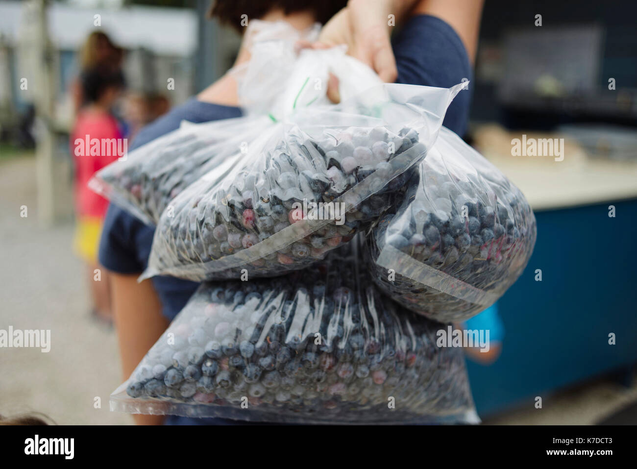 Rear view of woman carrying blueberries in plastic bags at market Stock ...