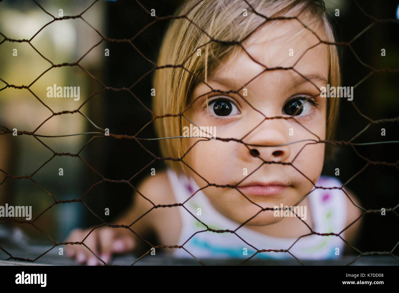Portrait of girl looking through chainlink fence Stock Photo - Alamy