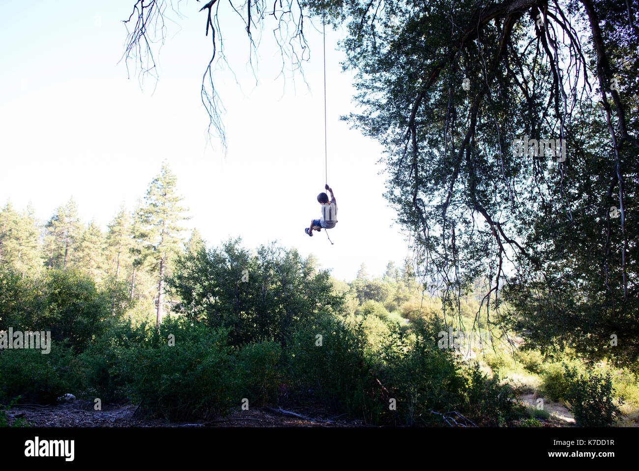 Boy swinging on rope swing at forest against clear sky Stock Photo - Alamy
