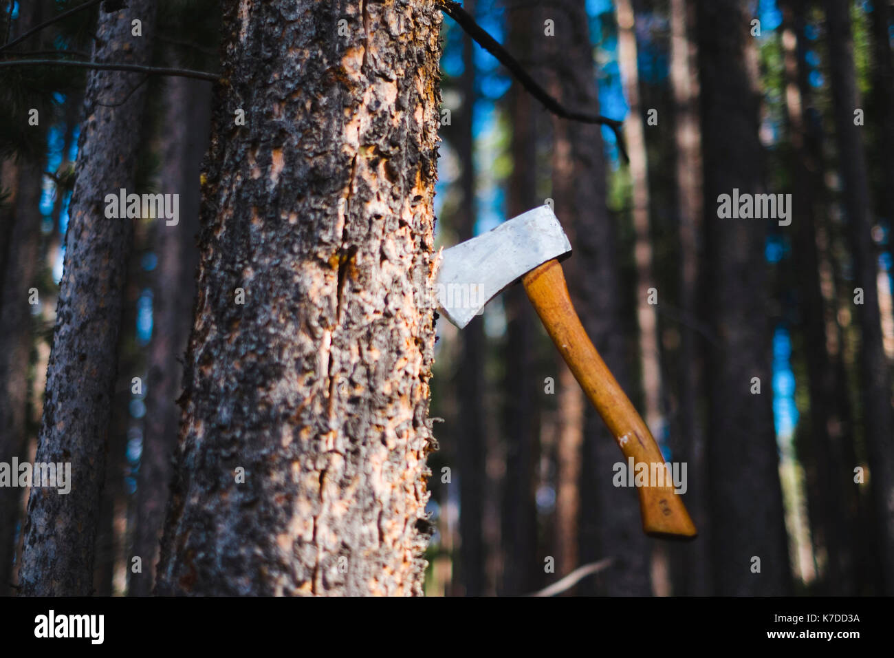 Tree cutting axe hi-res stock photography and images - Alamy