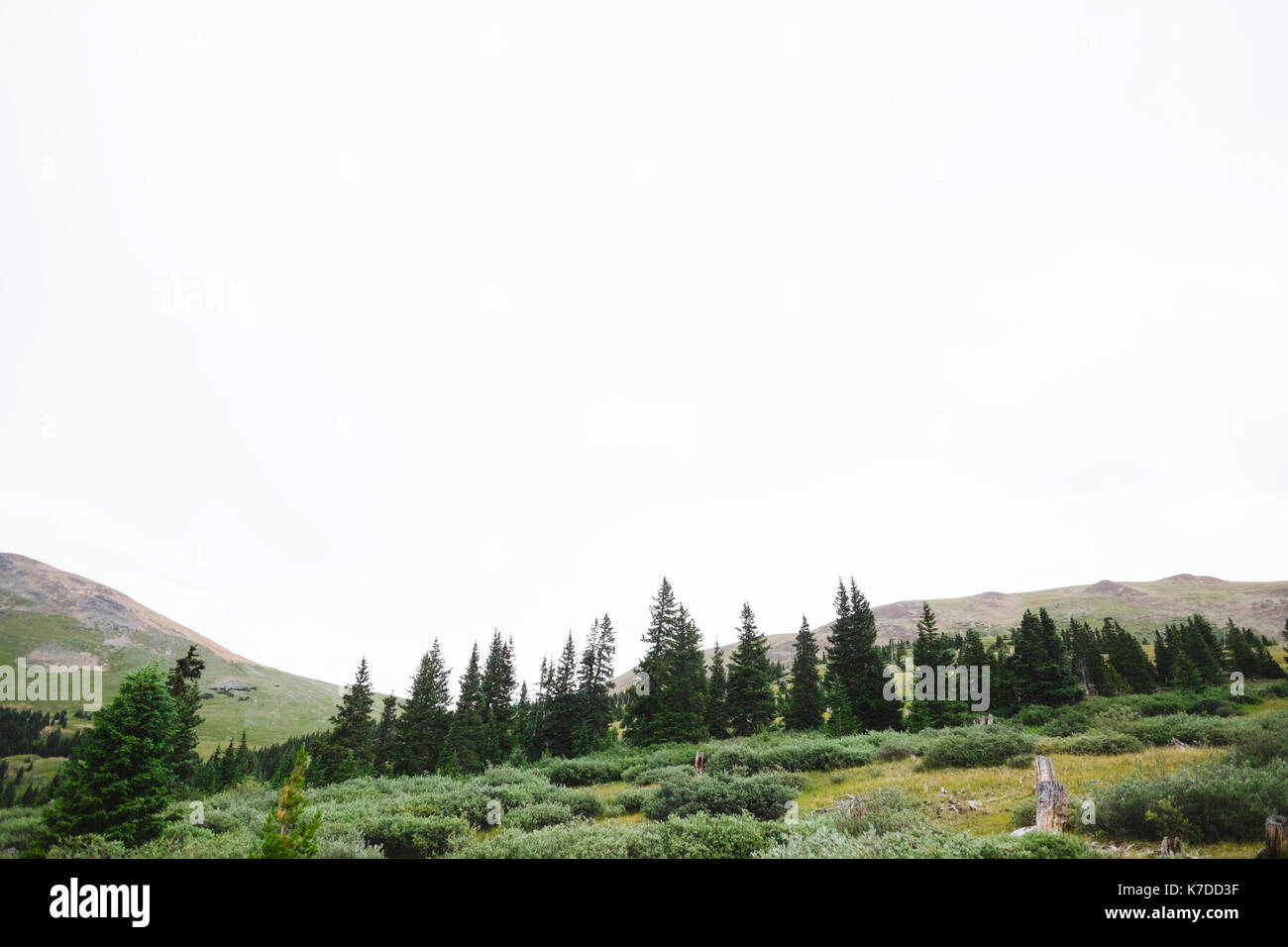 Hills scenic trees hi-res stock photography and images - Alamy