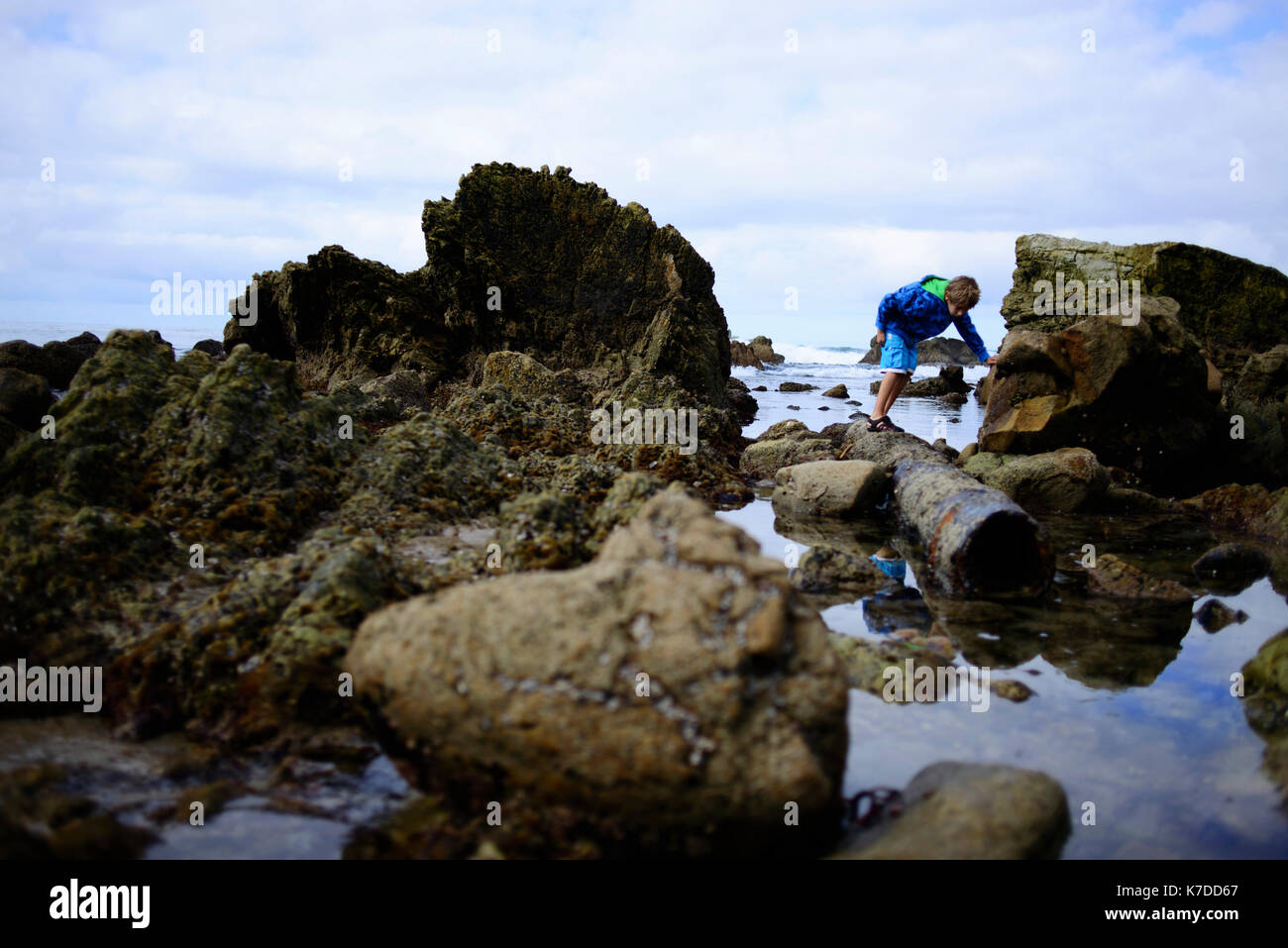 Boy searching something while standing on rocks at Laguna Beach Stock ...