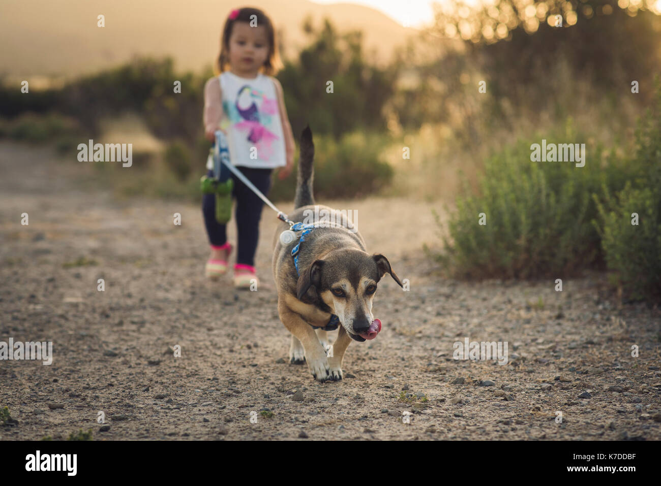 Cute girl walking dog hi-res stock photography and images - Alamy
