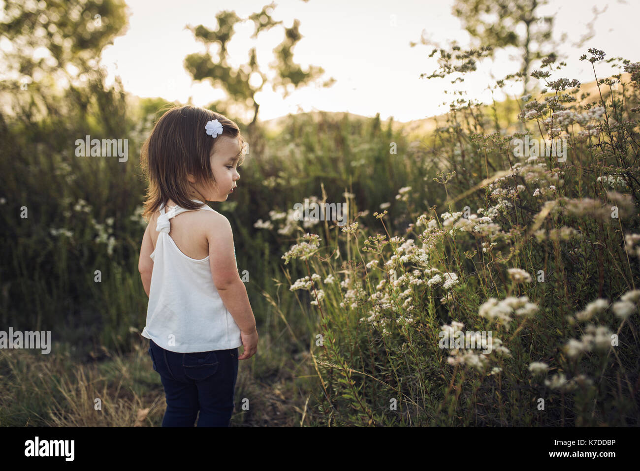 Person looking at flowers hi-res stock photography and images - Alamy