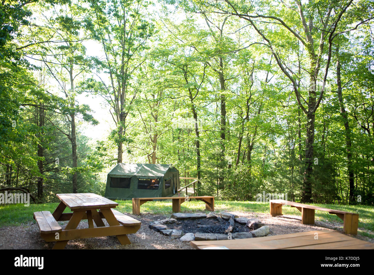 Tent at campsite in forest Stock Photo - Alamy