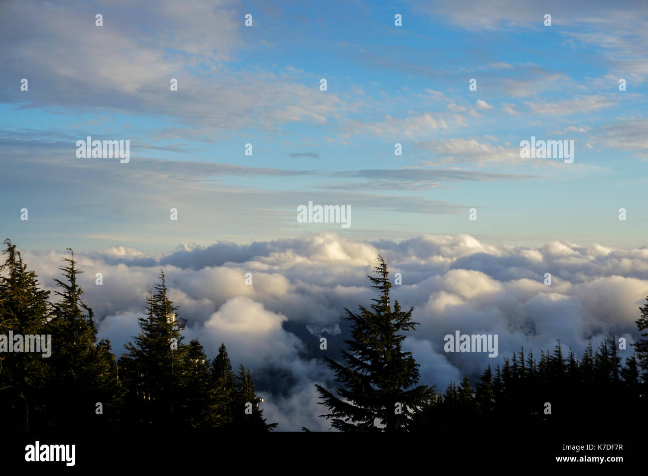 Clouds over trees hi-res stock photography and images - Alamy