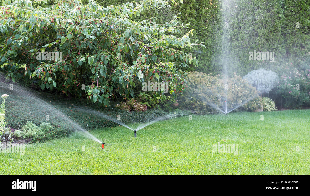 Irrigation of the garden with sprinkler system Stock Photo - Alamy