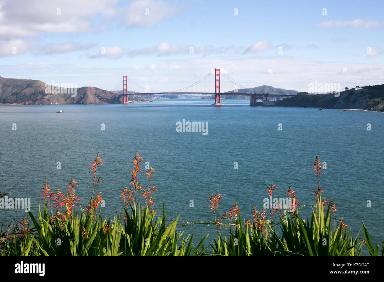 San francisco presidio park hi-res stock photography and images - Alamy