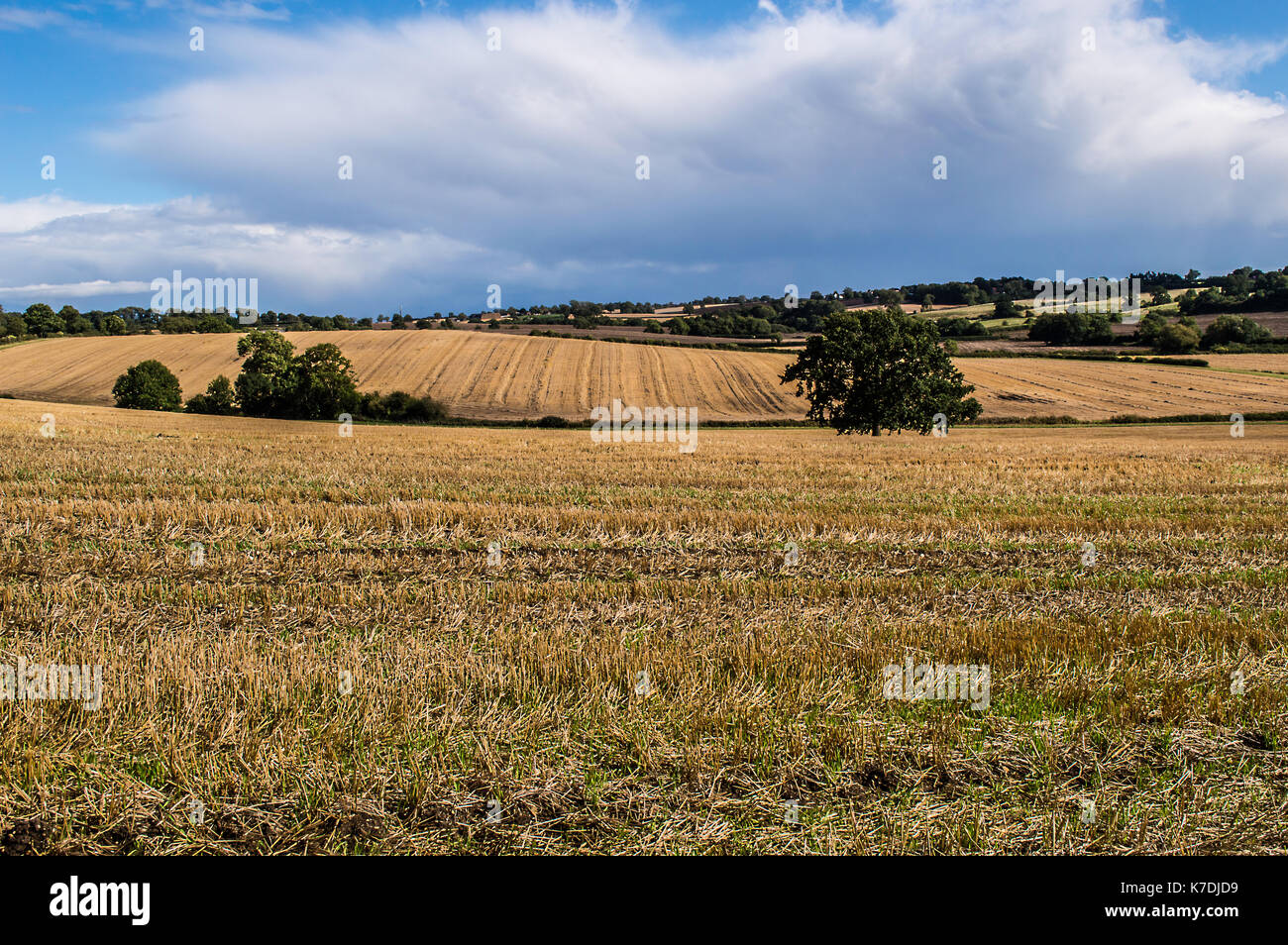 Set aside fields hi-res stock photography and images - Alamy