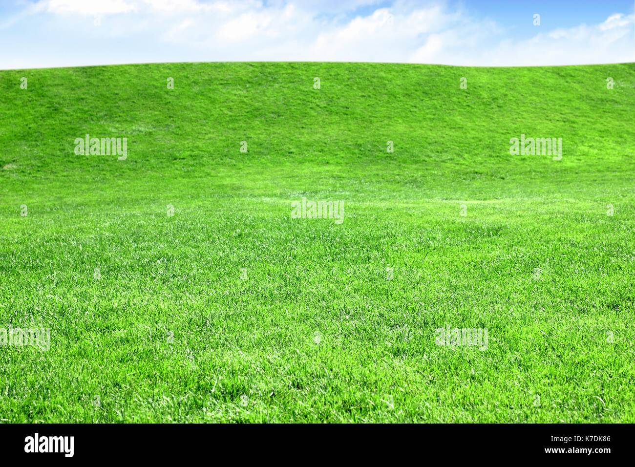Empty grass field with horizon Stock Photo - Alamy