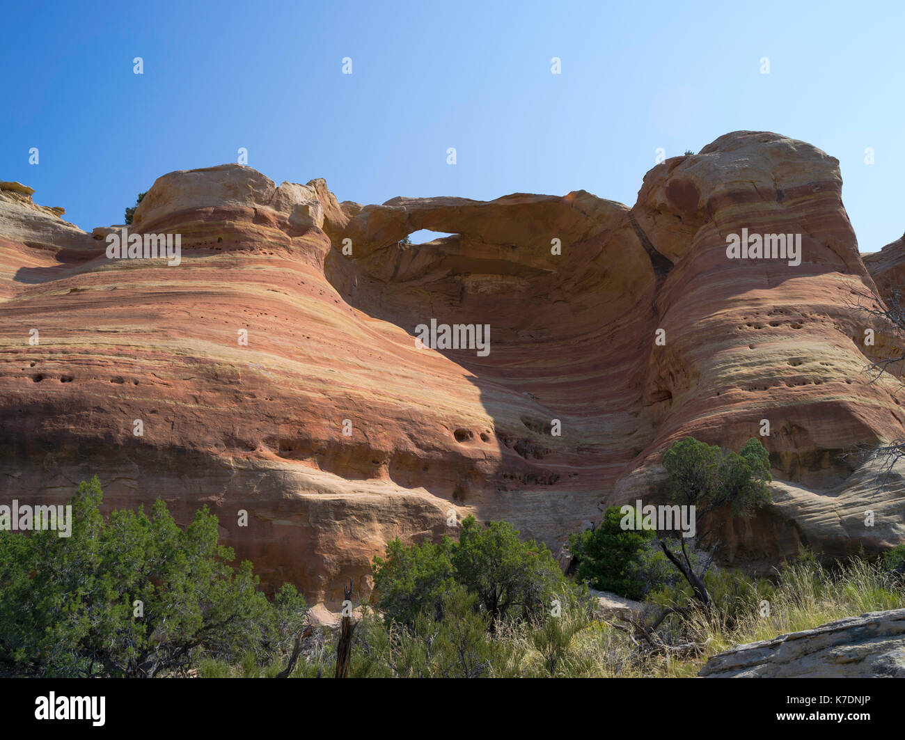 A natural arch at Rattlesnake Canyon, Black Ridge Wilderness, Colorado ...