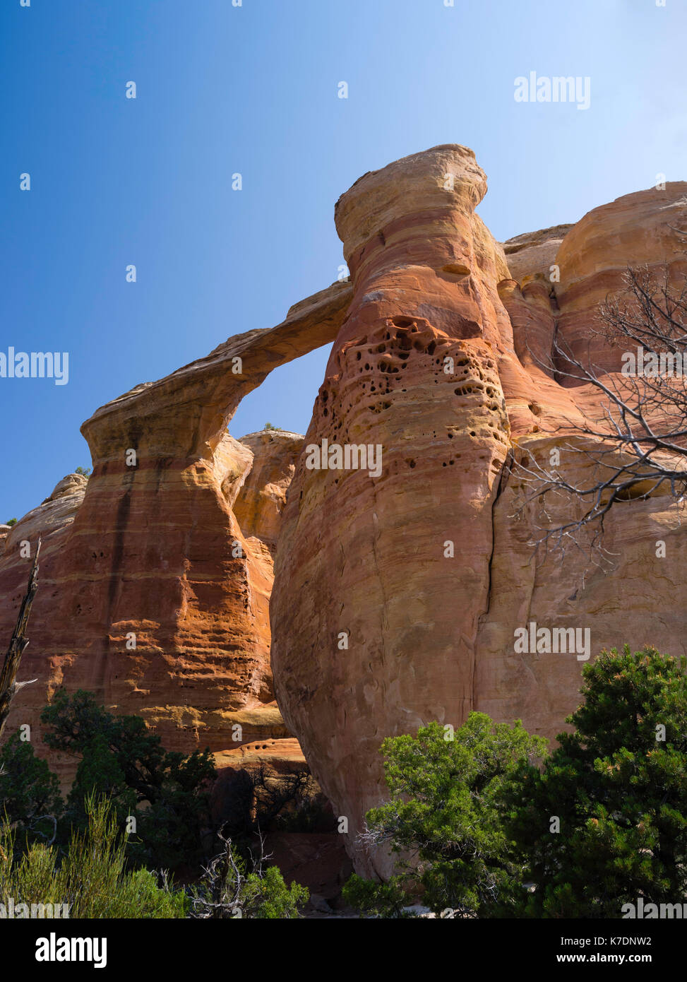 A natural arch at Rattlesnake Canyon, Black Ridge Wilderness, Colorado ...