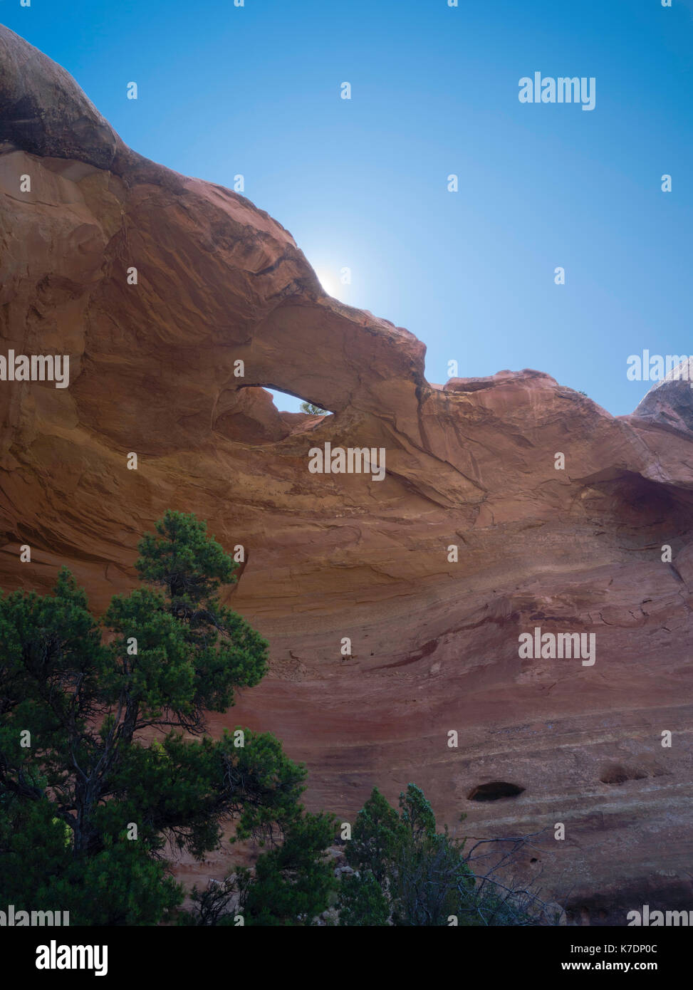 A natural arch at Rattlesnake Canyon, Black Ridge Wilderness, Colorado ...