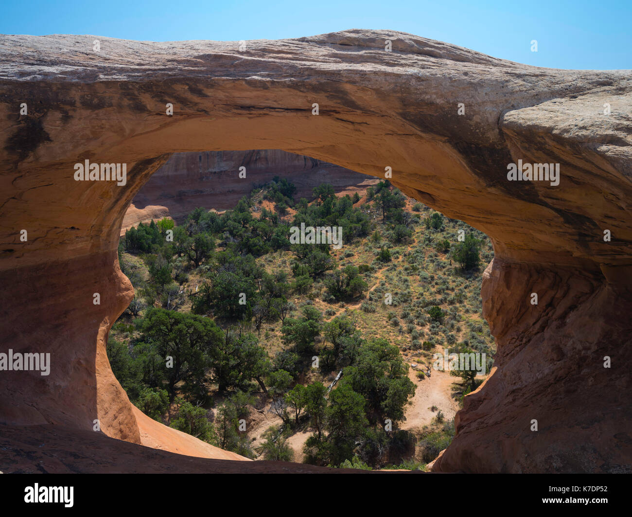 Rainbow Arch, Rattlesnake Canyon, Black Ridge Wilderness, Colorado ...