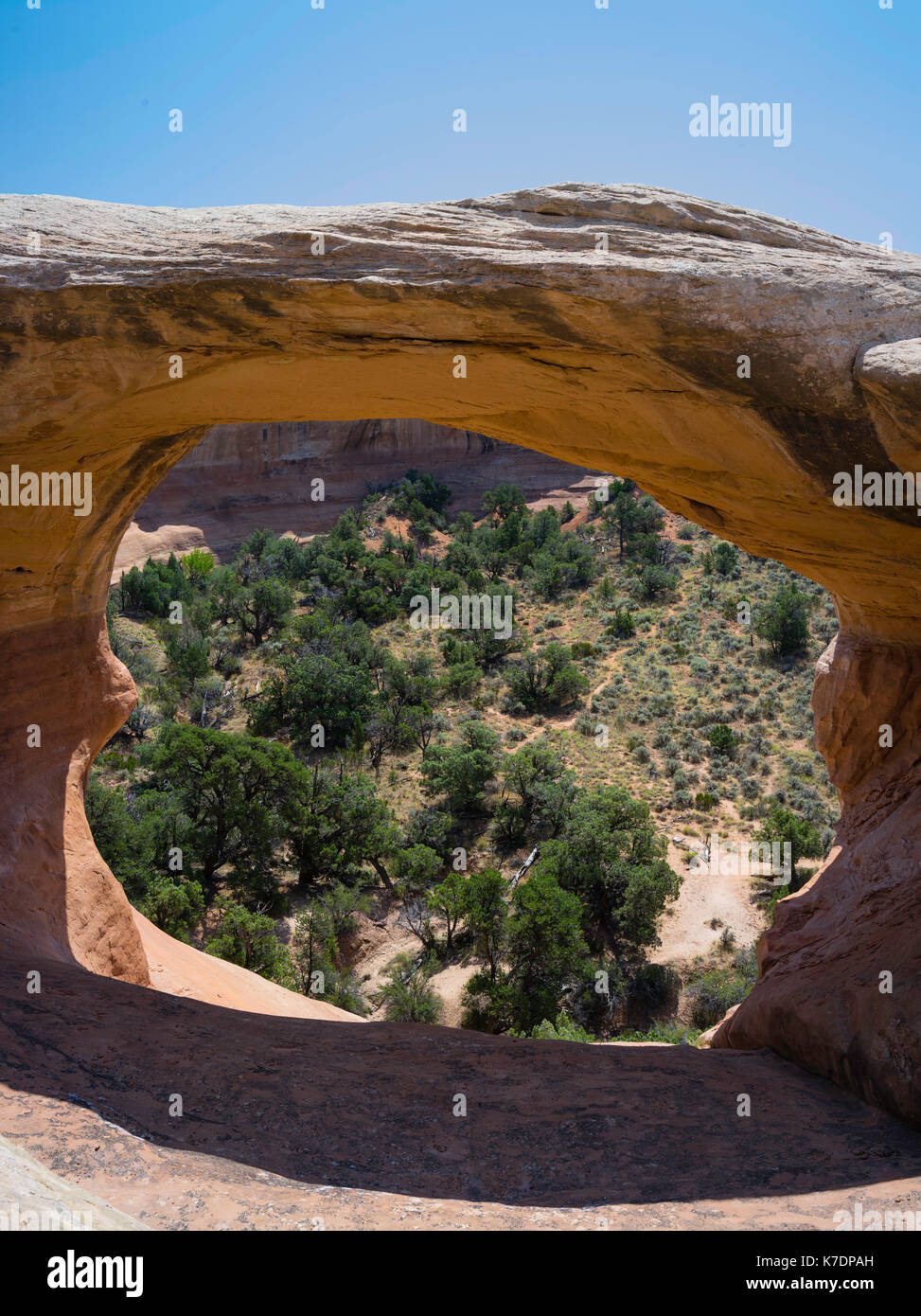 Rainbow Arch, Rattlesnake Canyon, Black Ridge Wilderness, Colorado ...