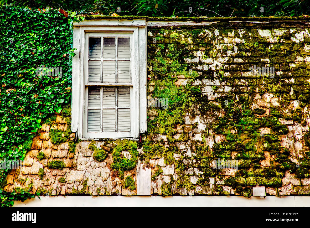 This little moss covered house in northern Virginia has a window and ...