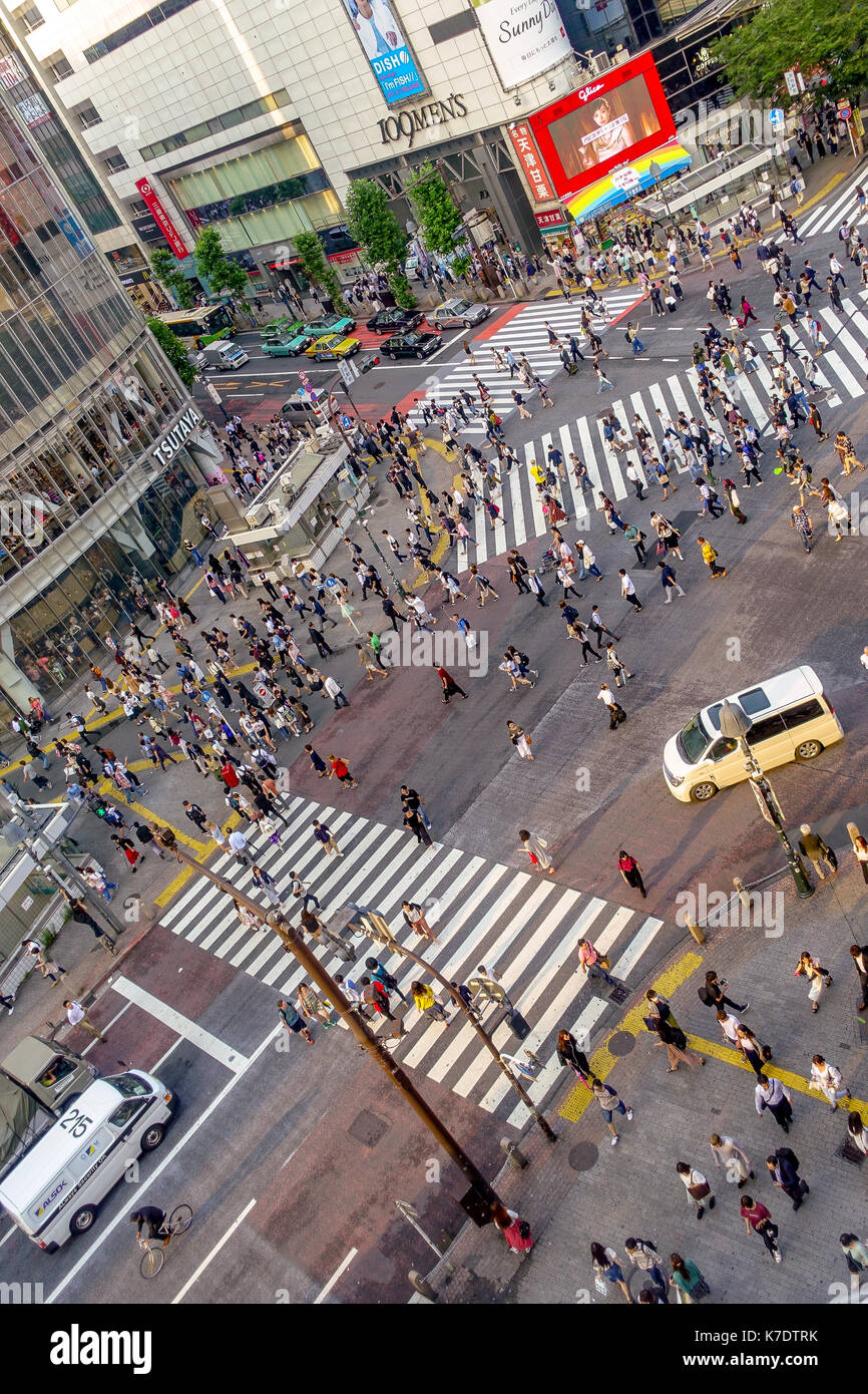 Biggest Zebra Crossing In The World