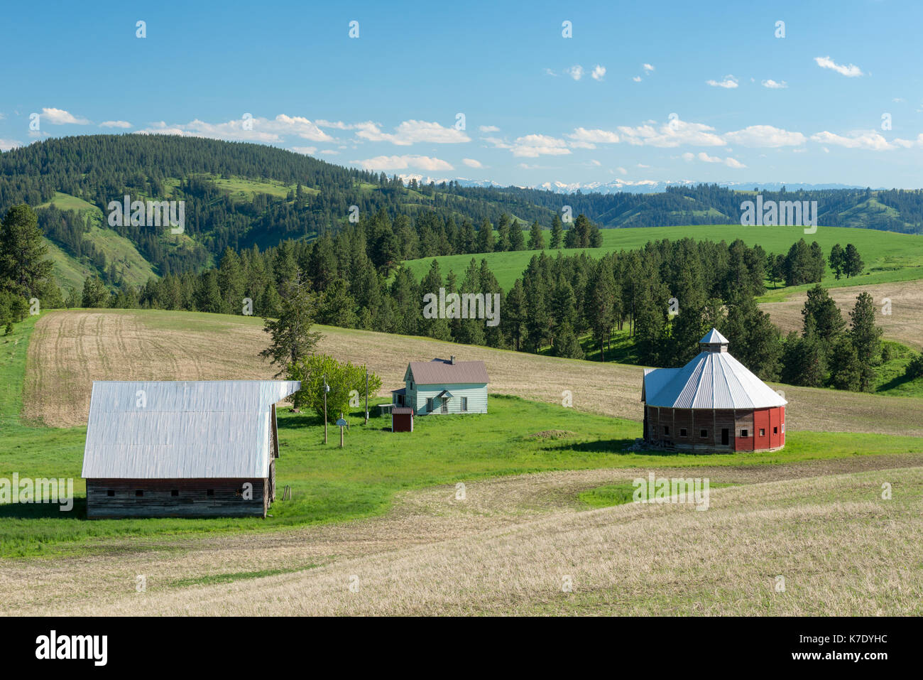 Farmhouse and barns near Flora, Oregon, with the Wallowa Mountains in ...