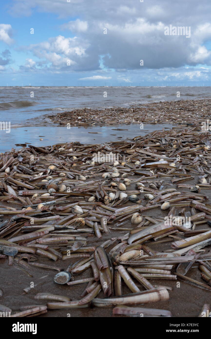 A bright but cloudy day with a rough sea on the beach after a storm ...