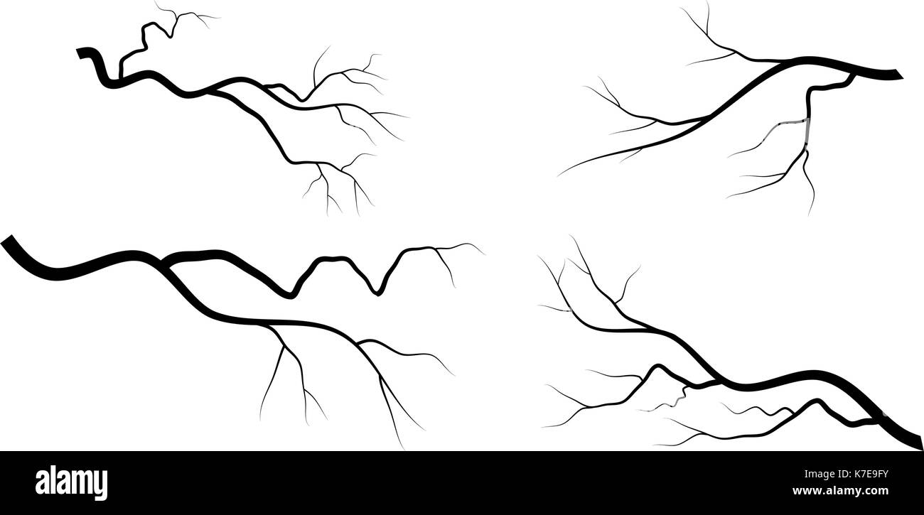bare branch set vector symbol icon design. Beautiful illustration ...
