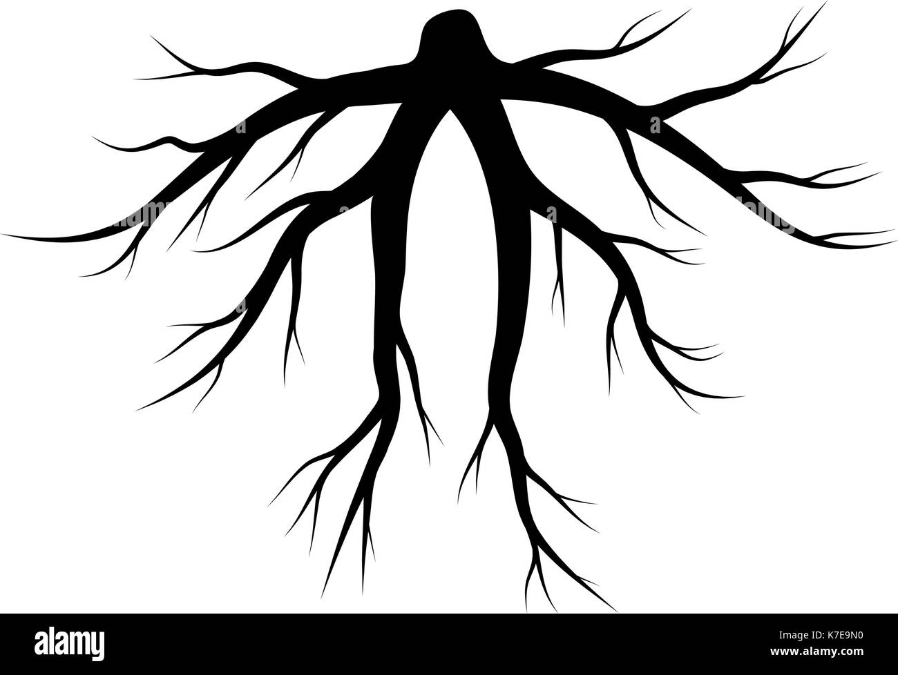 root silhouette vector symbol icon design. Beautiful illustration ...
