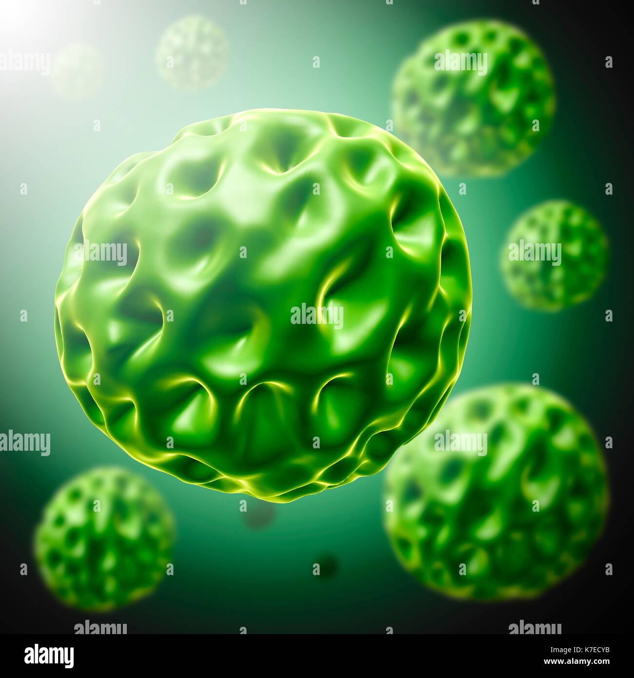 Chlamydia bacteria hi-res stock photography and images - Alamy