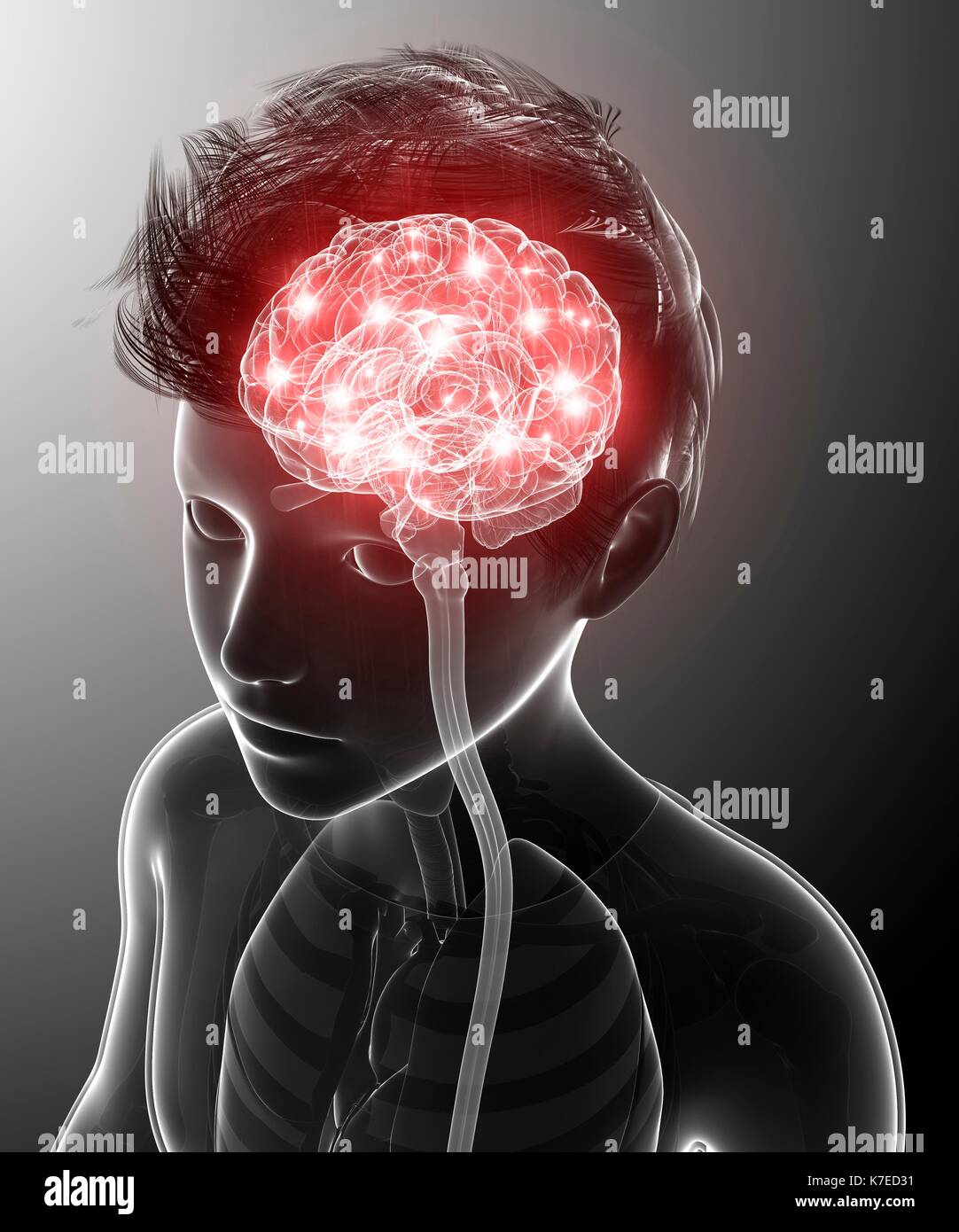 Illustration of a child's brain activity Stock Photo - Alamy