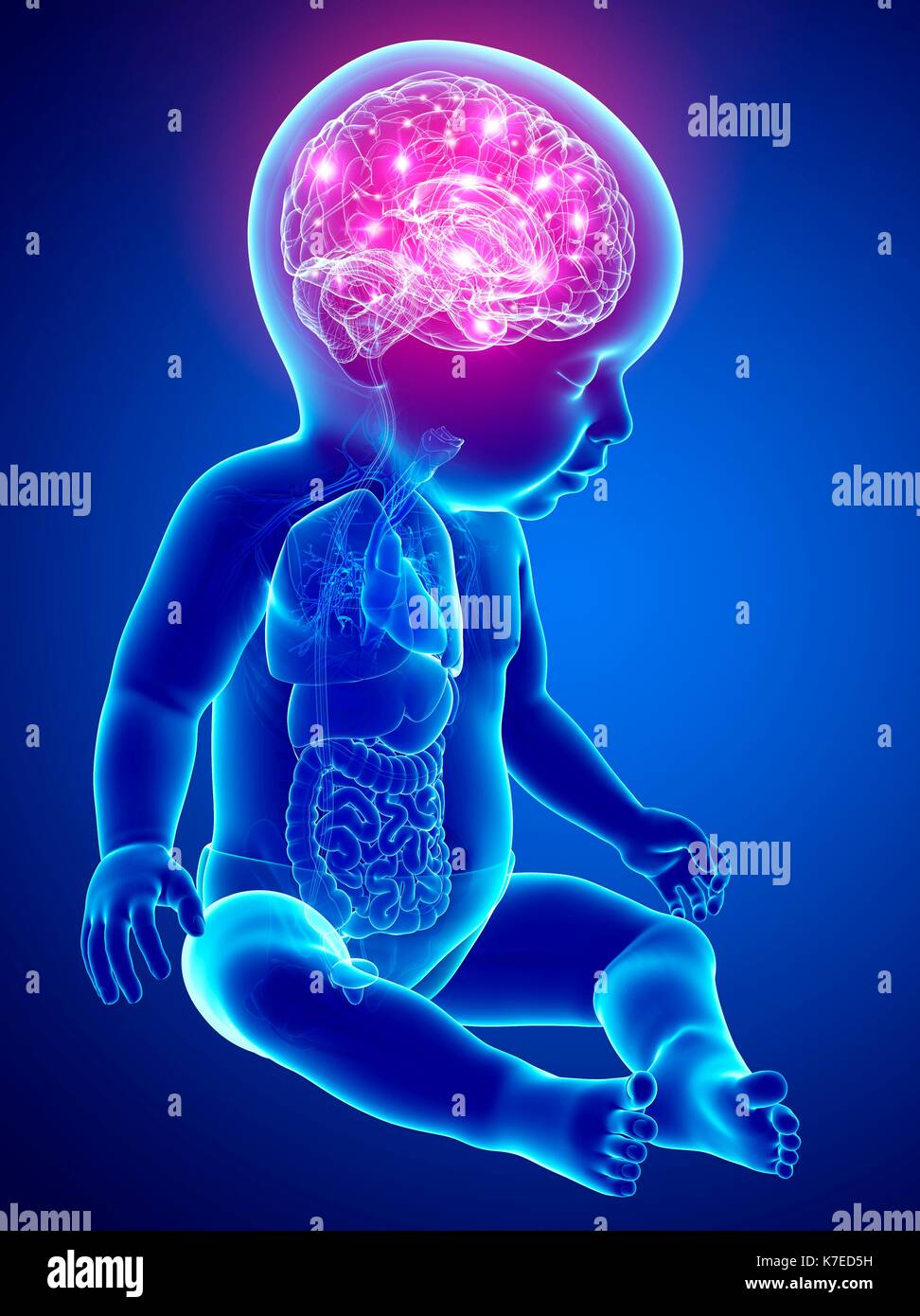 Illustration of a baby's brain activity Stock Photo - Alamy