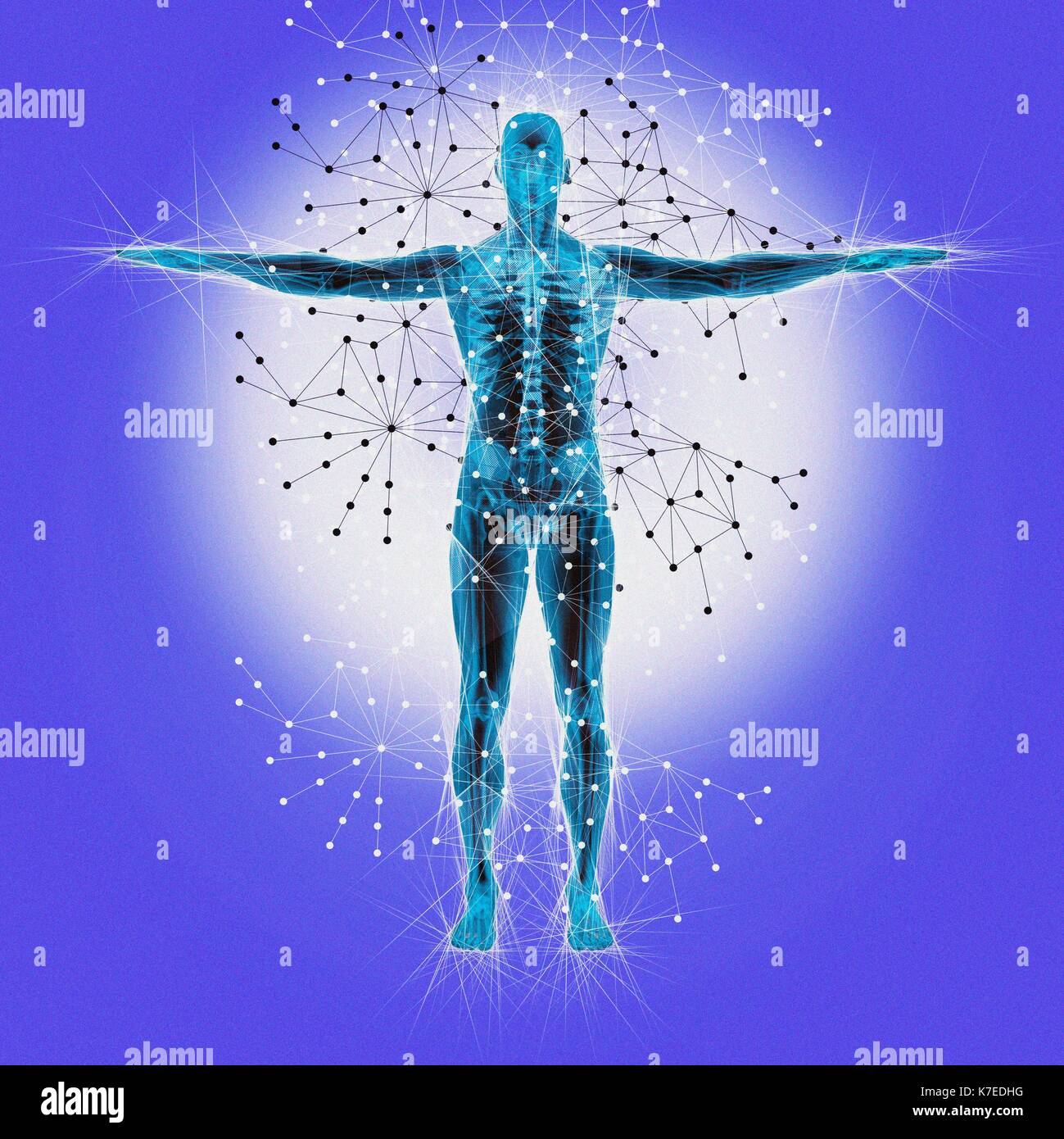 Atomic structure of the human body, illustration Stock Photo - Alamy Atomic structure of the human body, illustration Stock Photo - Alamy
