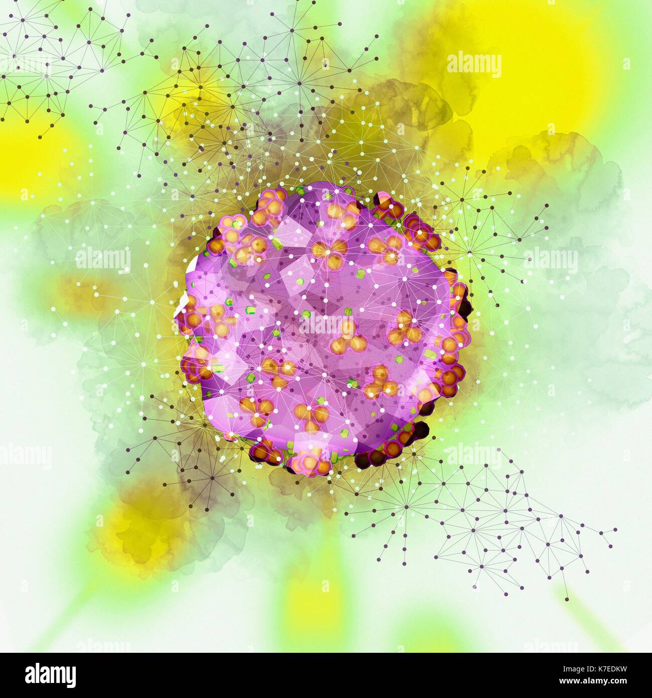 HIV virus, illustration Stock Photo - Alamy