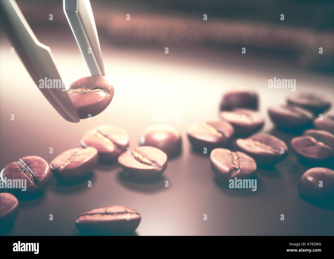 Tweezers selecting coffee bean, close up Stock Photo - Alamy
