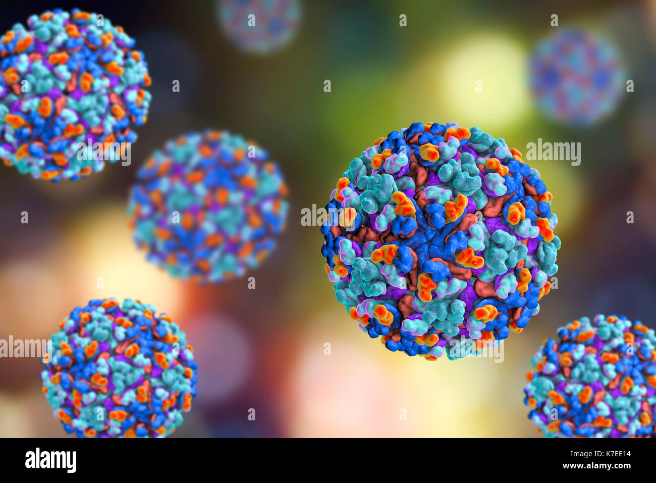 Australian virus High Resolution Stock Photography and Images - Alamy