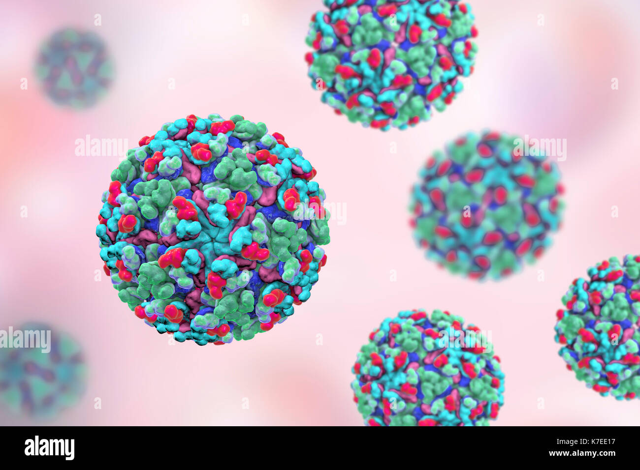 Barmah forest virus, 3D illustration. This is an RNA (ribonucleic acid ...