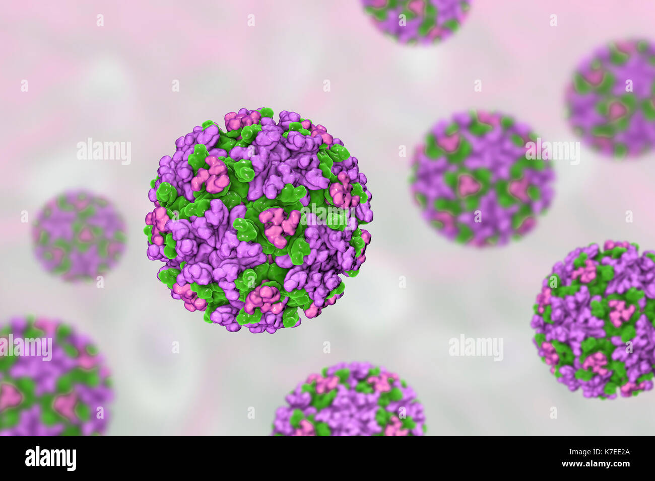 Xenozoonosis hi-res stock photography and images - Alamy