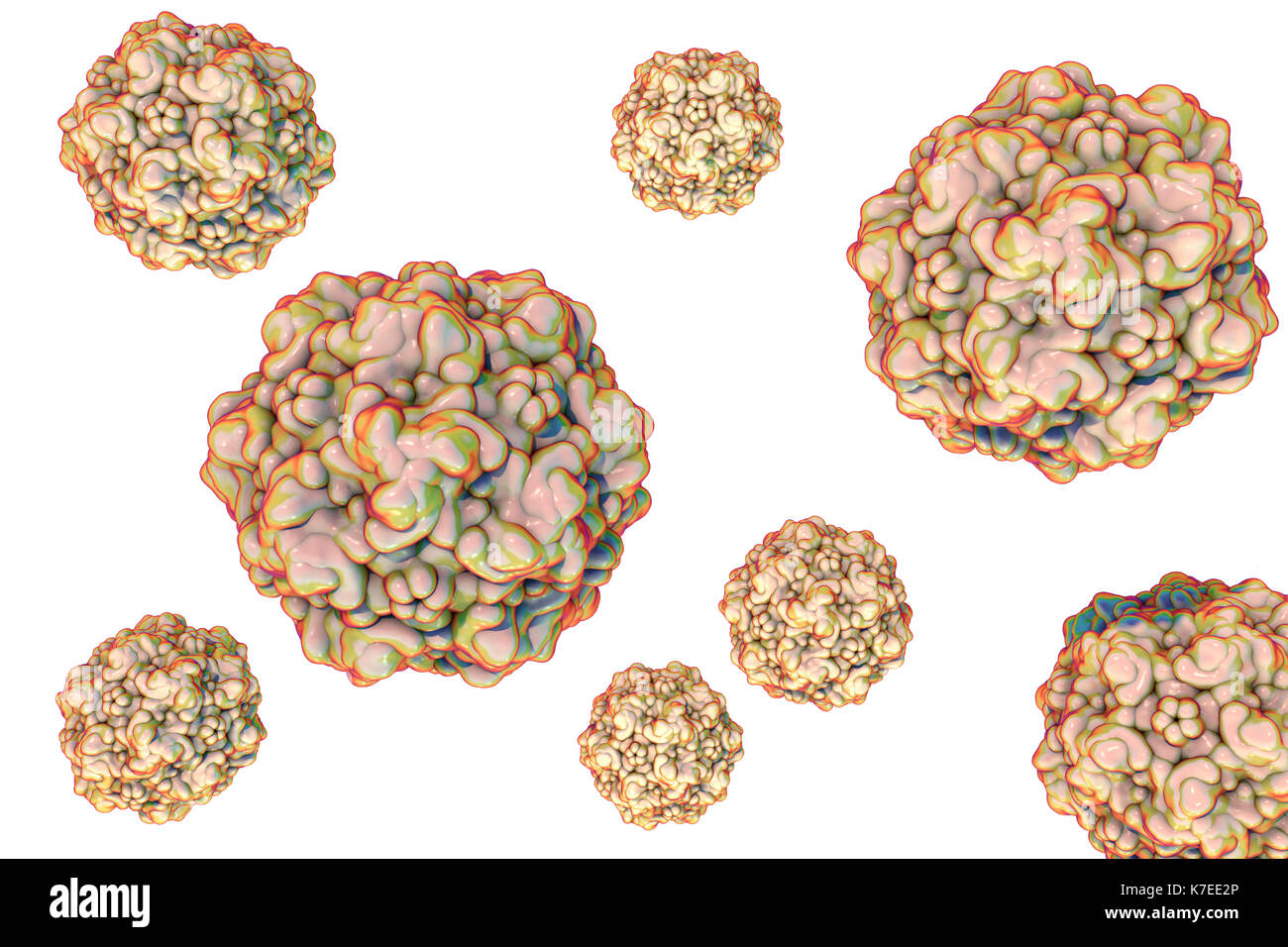 Feline Panleukopenia Virus (FPV) , computer illustration. This virus ...