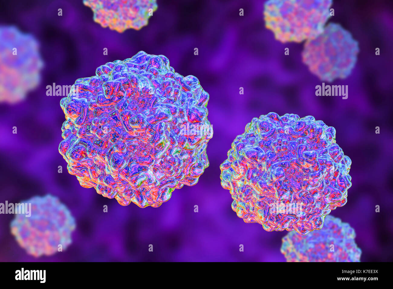Porcine parvovirus, computer illustration. Molecular model showing the ...